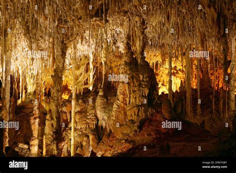 Cuevas dels Hams sind ein Höhlensystem an der Ostküste der