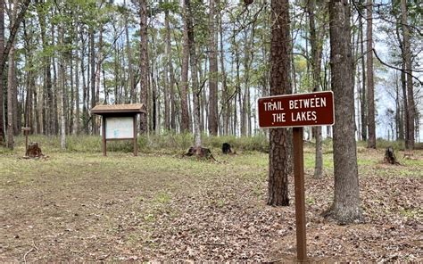 Forest Service Waives Day Use Fees For National Public Lands Day