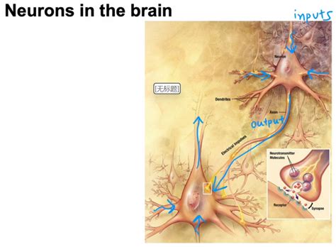 【吴恩达·机器学习】第四章：详解人工神经网络：推理和训练python 神经网络 吴恩达 Csdn博客