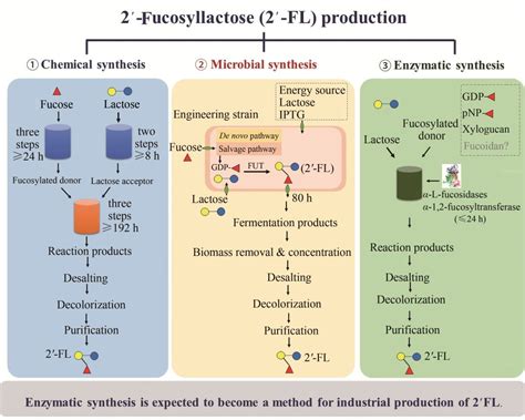 2 Fucosyllactose Manufacturers Suppliers Factory Wholesale Price