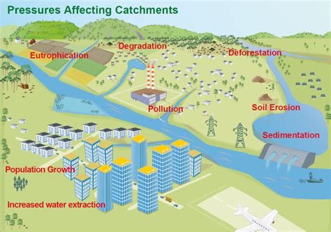The Catchment Stewardship Approach In Practice Natures