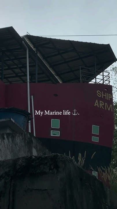 Ma Marine Life 🫡 Short Shorts Shortsyoutube Shortsviral Shortsfeed