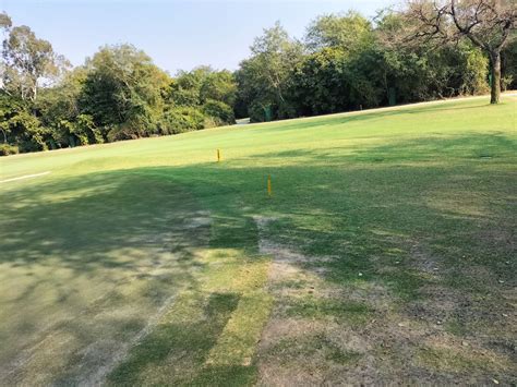 Green Cricket Ground Grass At ₹ 5sq Ft In New Delhi Id 25994899891