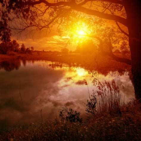 Stream Anne Laure Mignot Background Free Download By Caslahistoria