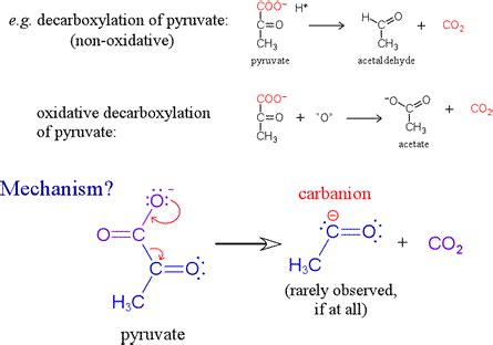 Chem 440 Thiamine Pyrophosphate