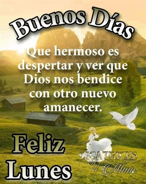 Feliz Lunes Bendiciones Buenos Dias Frases Positivas Lunes Buenos