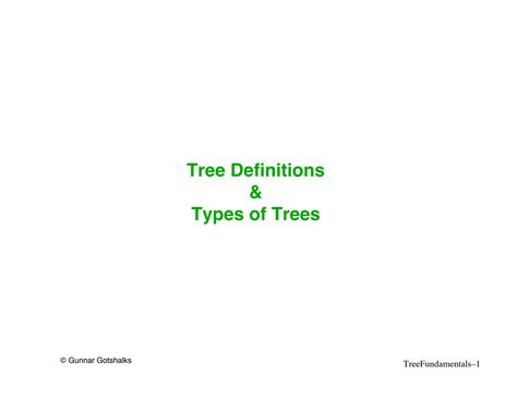 Solution Tree Definitions And Types Of Trees In Computer Science