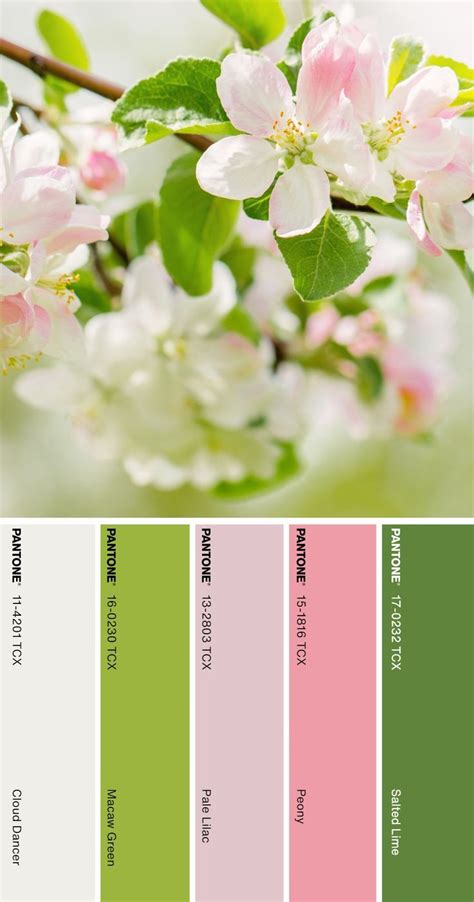 Pantone Color Palette For Spring Kleurenpalet Pastelkleuren Kleur