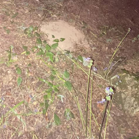 Stream Left Right And Centre Guest Mix April 2023 By Maiden Listen