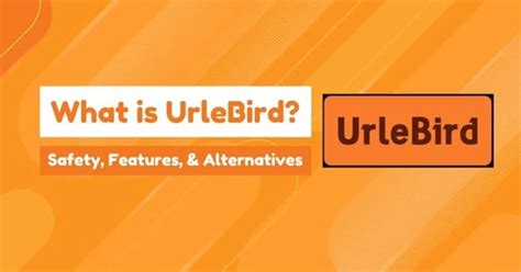 Alternativas Y Revisión De Tiktok En Línea Visualizador De Urlebird
