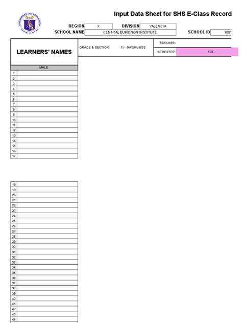 Learners Names Input Data Sheet For Shs E Class Record Pdf