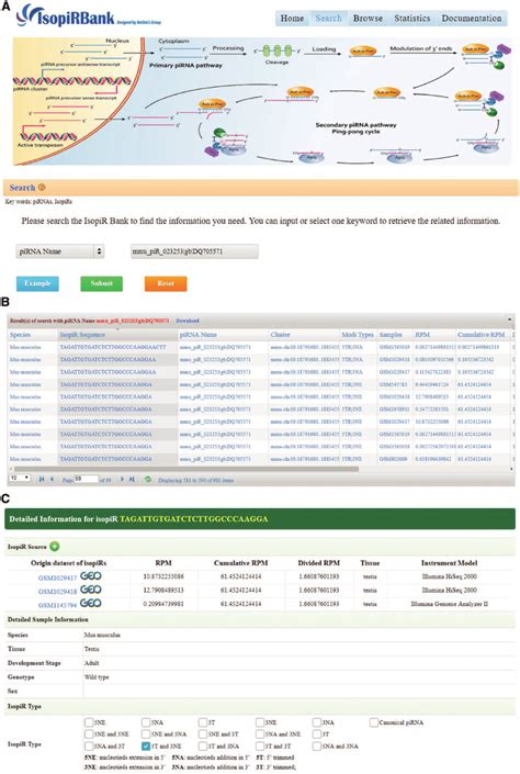 Screen Shots Of User Interface Search One Of The Three Provided Download Scientific Diagram