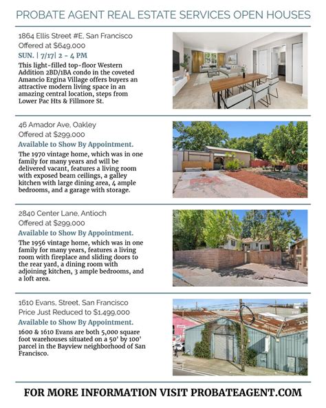 E Probate Estate Trust Conservatorship Estateplanning