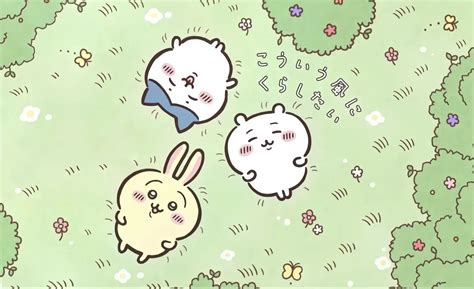 平板适用chiikawa壁纸 抖音