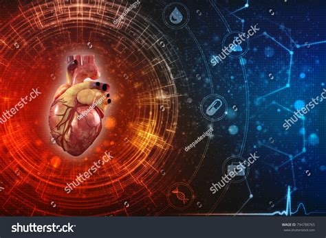 3d Illustration Anatomy Human Heart Stock Illustration 794788765