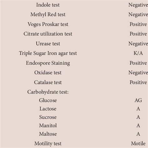 Analysis Of Biochemical Characters For Bacillus Subtilis Download Scientific Diagram
