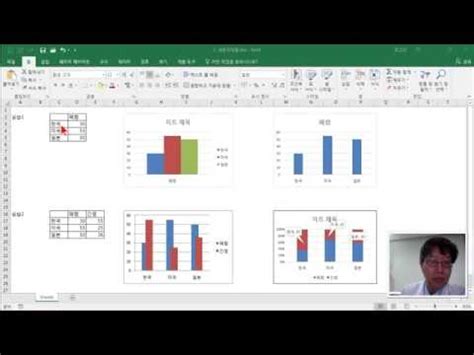 Statistics for everyone 장 가장 기본이 되는 세로 막대형 차트를 만들어 봅시다