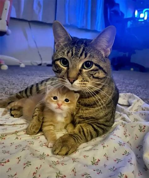 Michael William Lackey