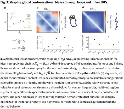 Nat Comput Sci 内在无序蛋白的序列构象功能关系的通用设计框架 知乎