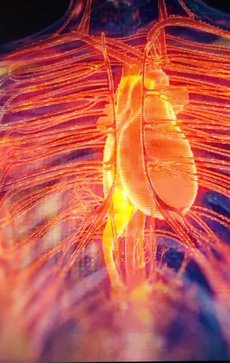 Heartbeating From Cyberpunk