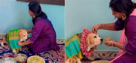 मेरे बच्चे की गोद भराई इस परिवार ने की अपने कुत्ते की गोदभराई गले में