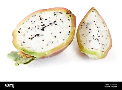 Peruvian Apple Cactus Fruit Isolated On White Background Scientific