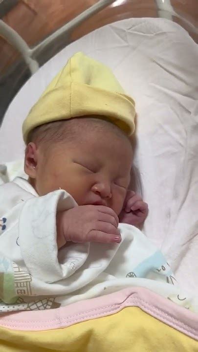 梦中起舞椰子宝宝 Youtube