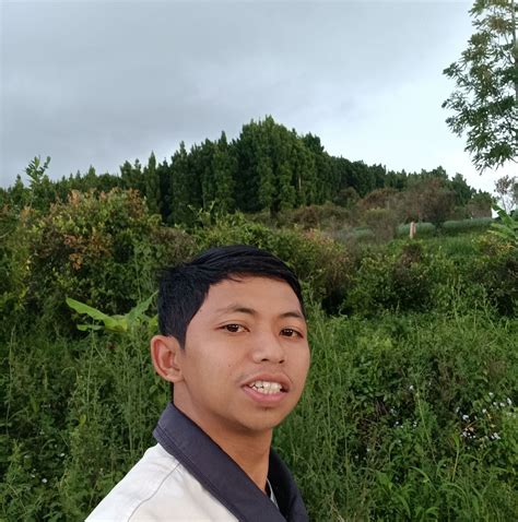 Burung Puyuh Gambel Creatorpemula Al Ayubi