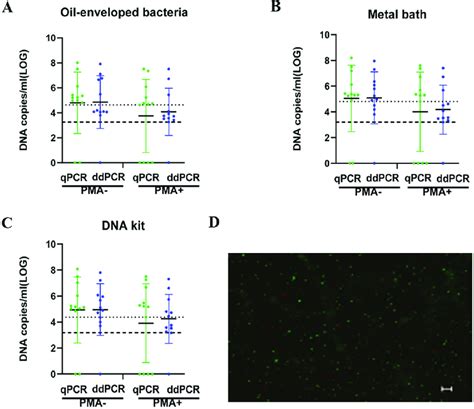 Quantification Of Total And Viable Cells In Dna Copiesml Using