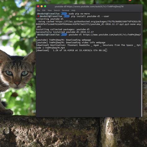 Installing Pip On Linux Dev Log De Sh Speaks About Code