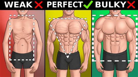 5 Steps To Build A Perfect Male Physique Youtube