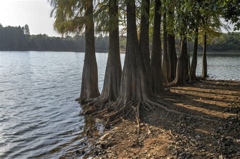 金华金满湖公园图片素材 金华金满湖公园设计素材 金华金满湖公园摄影作品 金华金满湖公园源文件下载 金华金满湖公园图片素材下载 金华金满湖公园背景素材 金华金满湖公园模板下载 搜索中心