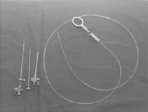 Copes Needle Biopsy Set And Cytologic Brush Download Scientific Diagram