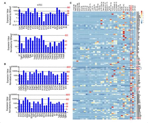 Expression Of Various Cytokines And Cytokine Receptors In Mtecs A