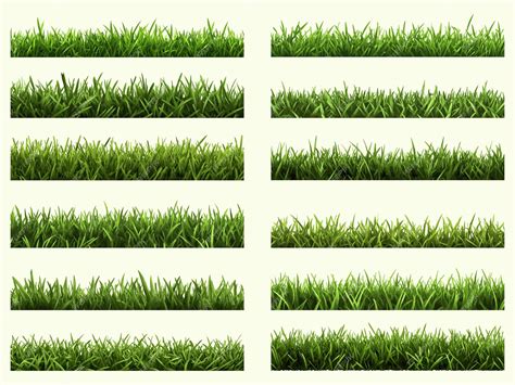 Premium Vector Set Of Grass Bush Shrub Cartoon Vector Border