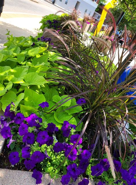 Shaunna Oconnell Added A New Photo Shaunna Oconnell