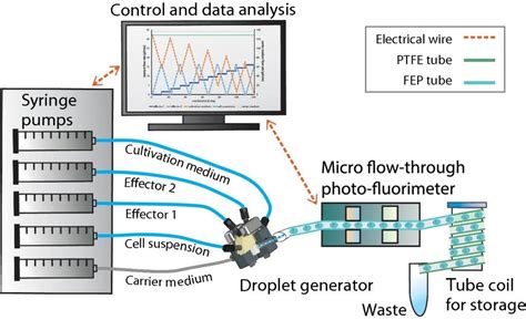 High Throughput Optimization Of Cyanobacterial Cultivation Using