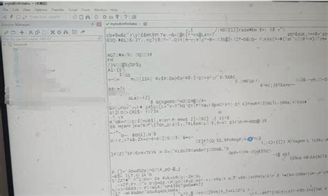 Elasticsearch 国产化替代方案之一 Easysearch 的介绍与部署指南 Csdn博客