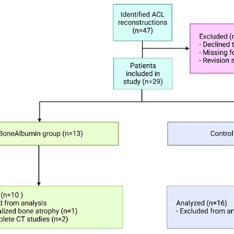 Flowchart Of Patient Inclusions Download Scientific Diagram