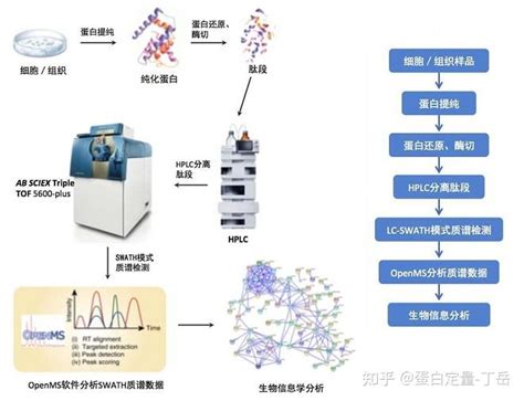 定量检测蛋白方法对比：选择最合适的技术方案 知乎