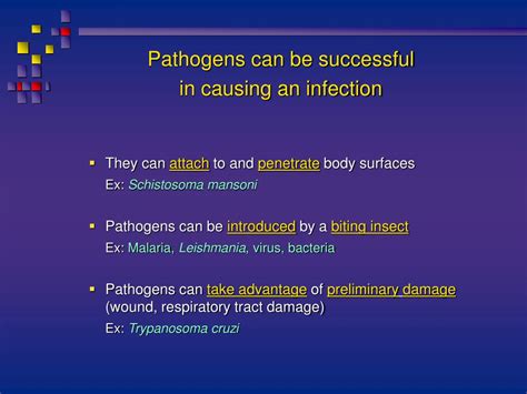 Ppt Host Pathogen Interaction Powerpoint Presentation Free Download