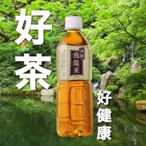 津路烏龍茶 500ml