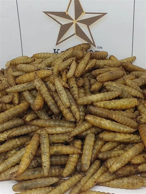 Puffed Bsfl Packaging Size 10kgs At Rs 350 Kg In Perundurai Id 2852124363555