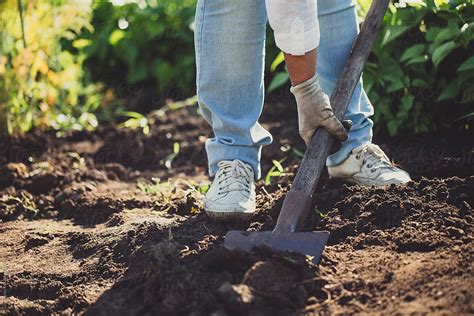 Woman Digging Using A Tool By Stocksy Contributor Lumina Stocksy
