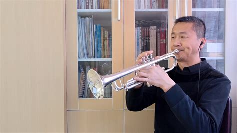 《这世界那么多人》小号演奏：陆韵 陆韵音乐 陆韵音乐 哔哩哔哩视频