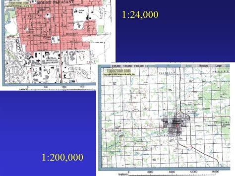 Emergence Of Landscape Ecology Equilibrium View Structure Function