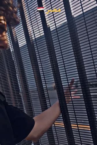 شاب من حدود غزة هذا المخرج الوحيد بيننا وبين مصر ترند وكالة أنباء سرايا الإخبارية حرية