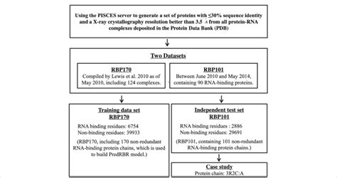 Summary Of Data Set Generation Download Scientific Diagram