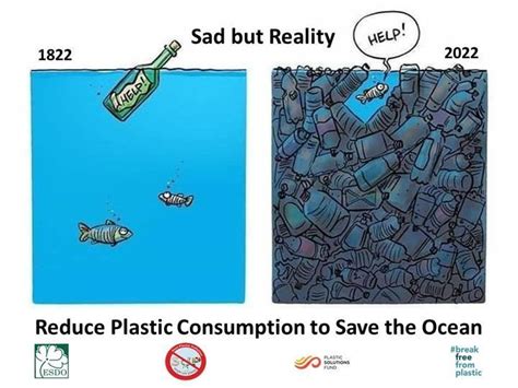 Ocean Plastic Pollution