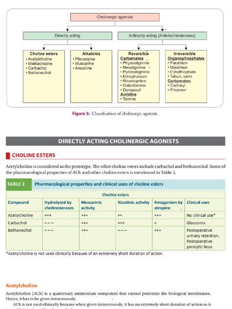 Cholinergic Drug Pdf